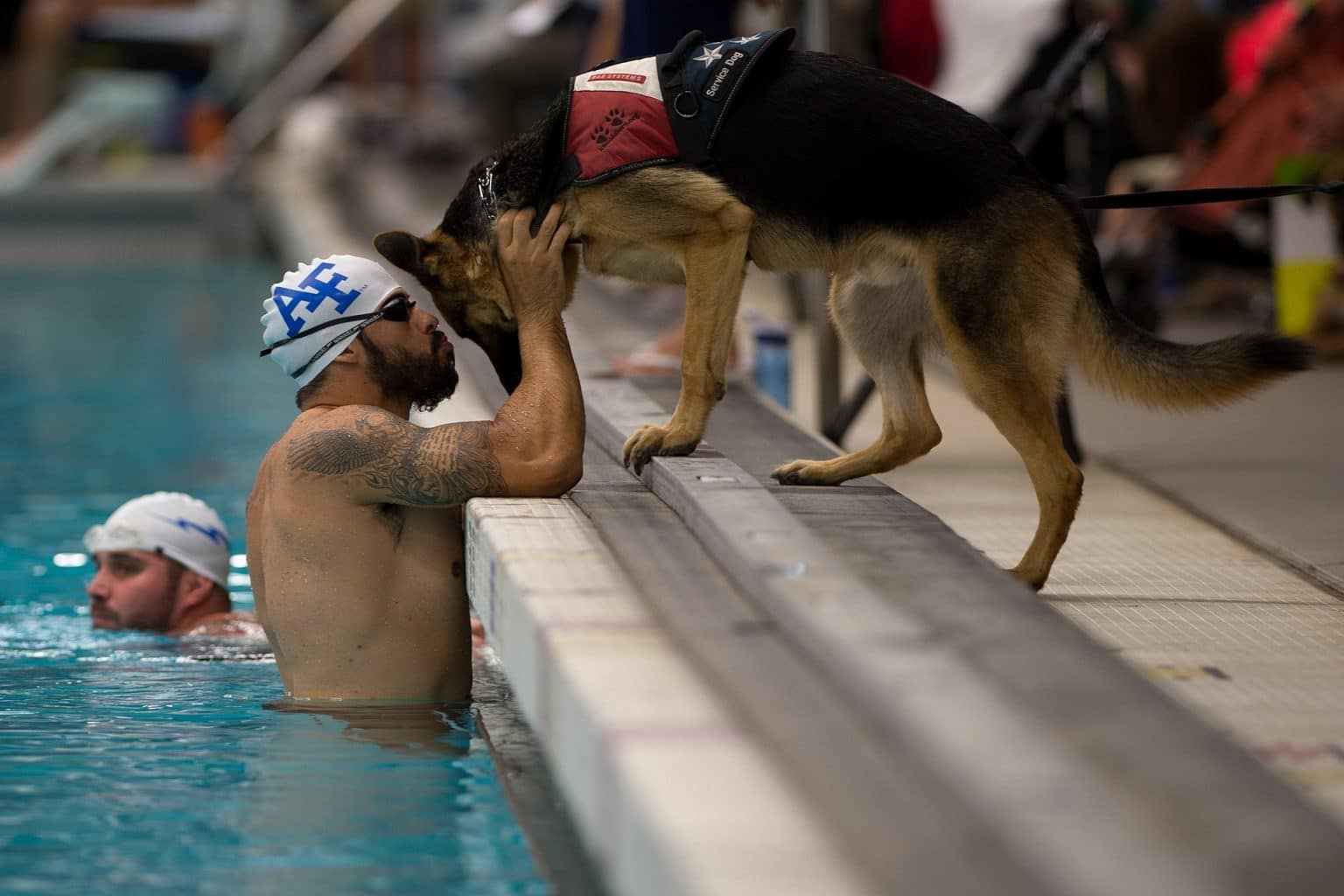 28 Most Enticing Pet Therapy Statistics (2024 UPDATE) | Petpedia