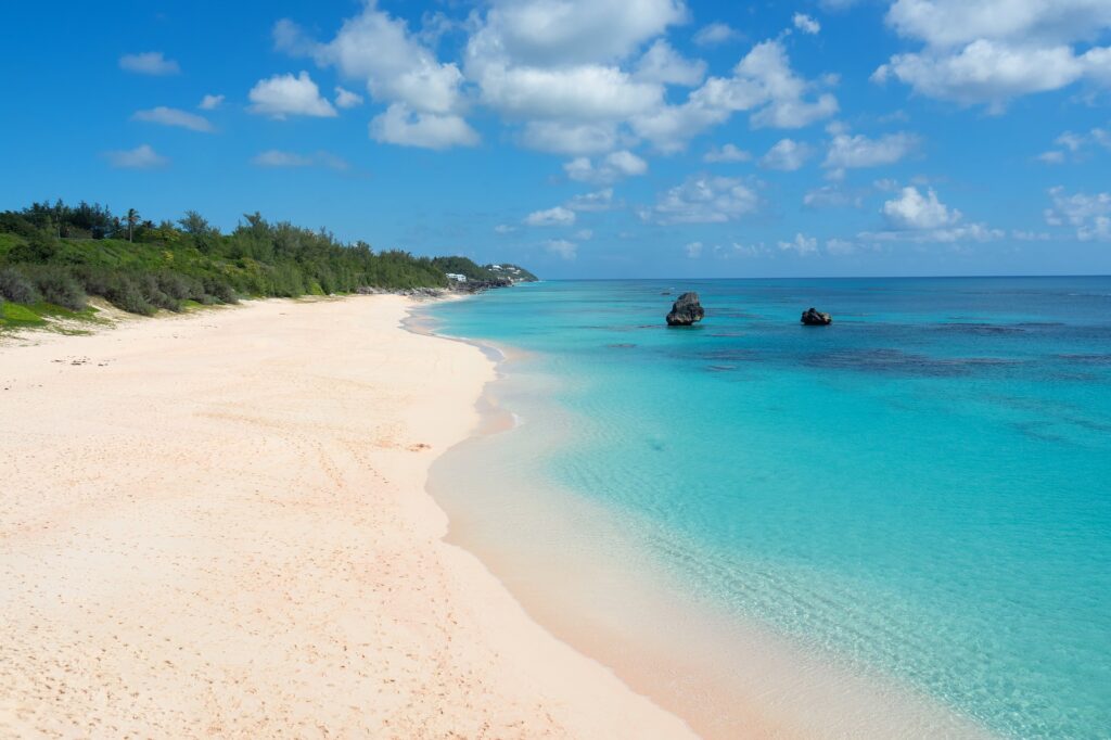 18 Incredible Facts About the Atlantic Ocean | Petpedia