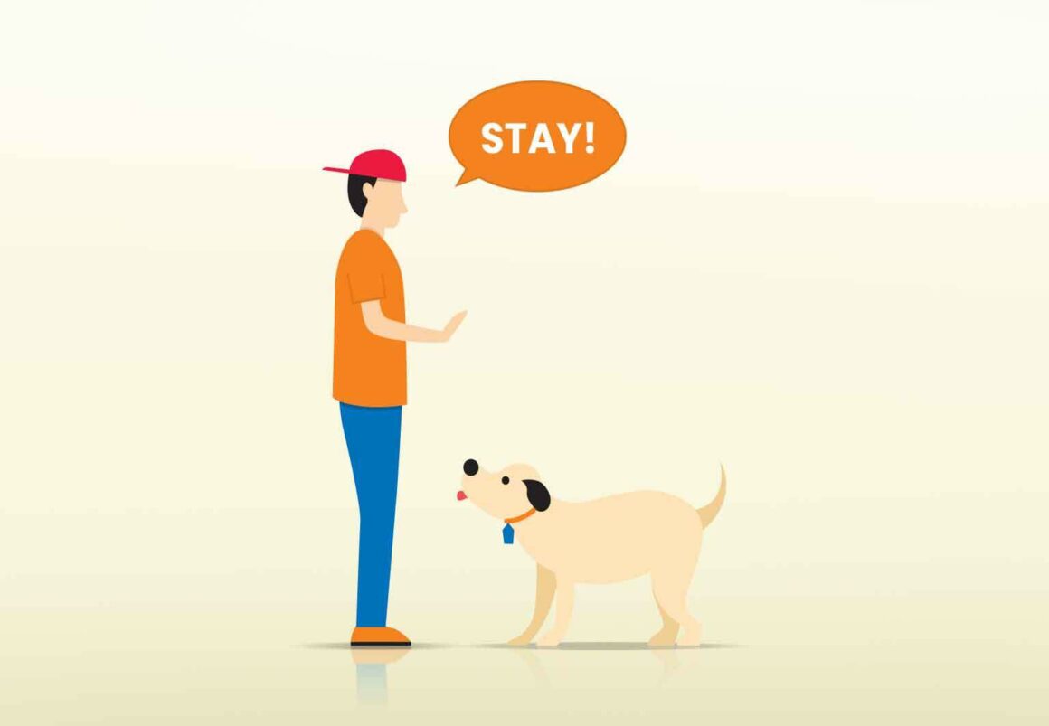 8 Easy To Learn Hand Signals for Dogs