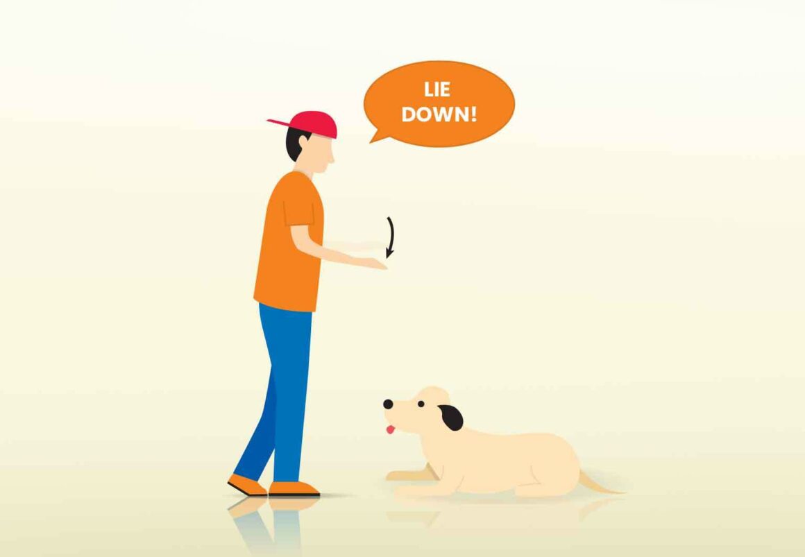 8 Easy To Learn Hand Signals for Dogs