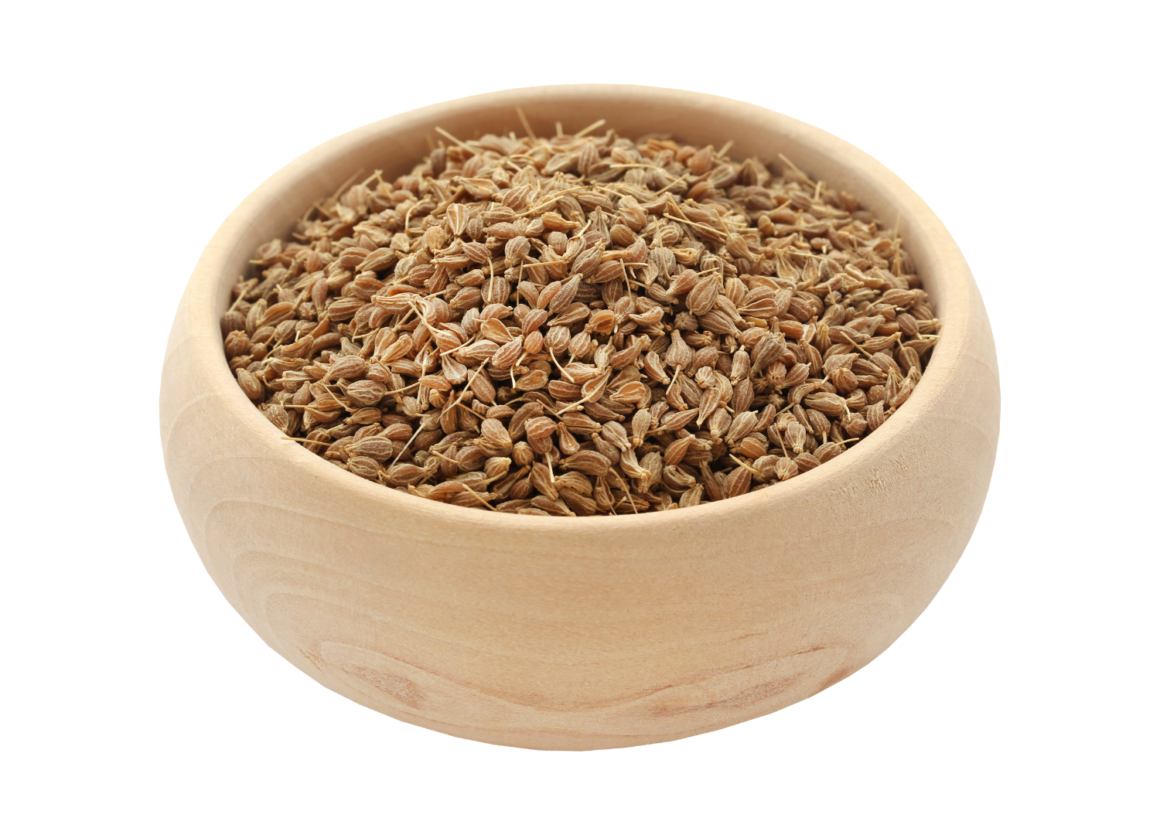 What Is the Dog Equivalent of Catnip?