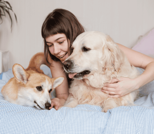 5 Common Pet Emergencies That Tulsa Pet Owners Should Know About | Petpedia