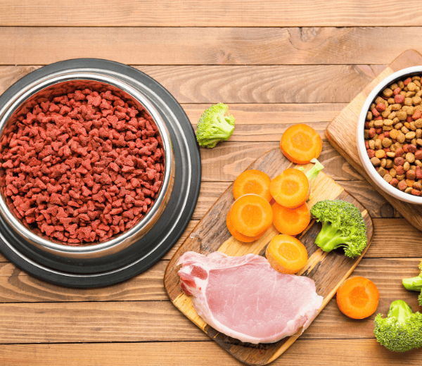 7 Essential Pet Products for First-Time Owners | Petpedia